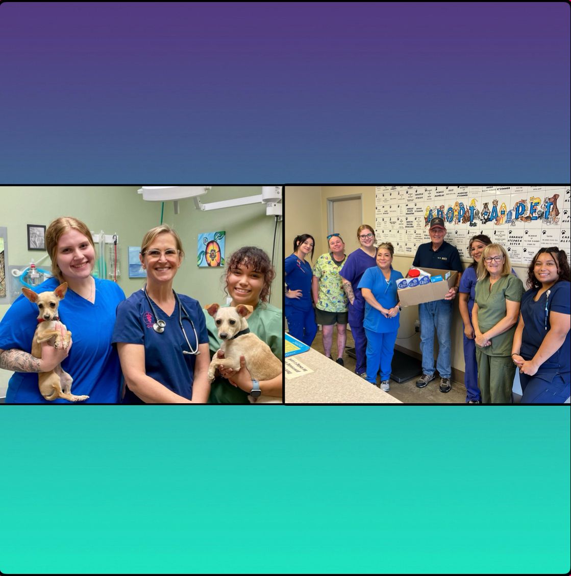 Adopt-A-Pet | Victoria, Texas